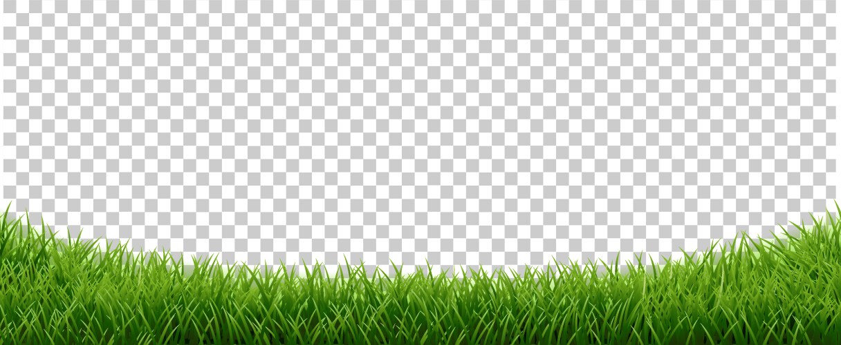 Green grass frame isolated transparent background Vector Image
