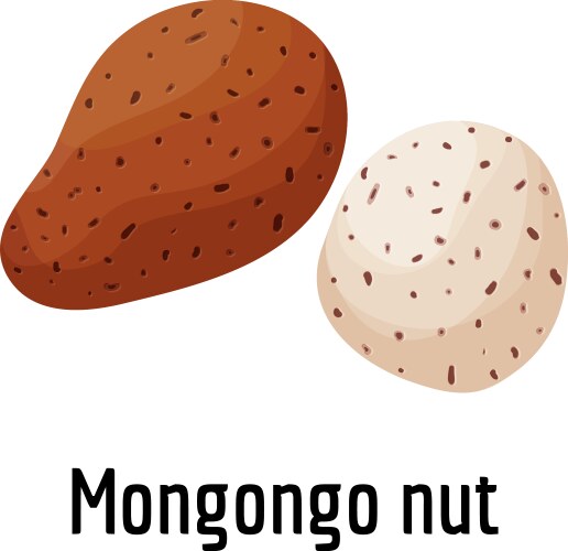Pili nut icon cartoon style Royalty Free Vector Image