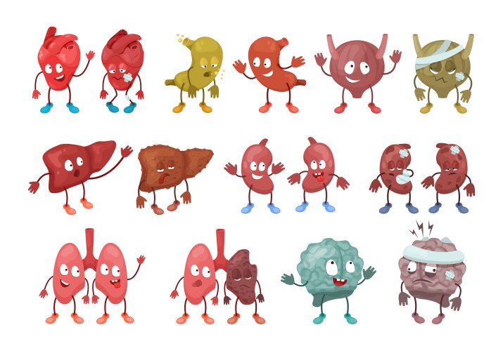 Human organs characters Royalty Free Vector Image
