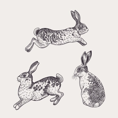 Vintage Jumping Hare Vector Images (over 230)