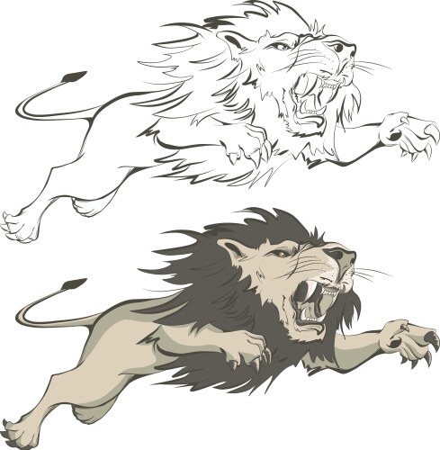 Lion Vector Images (over 110,000)