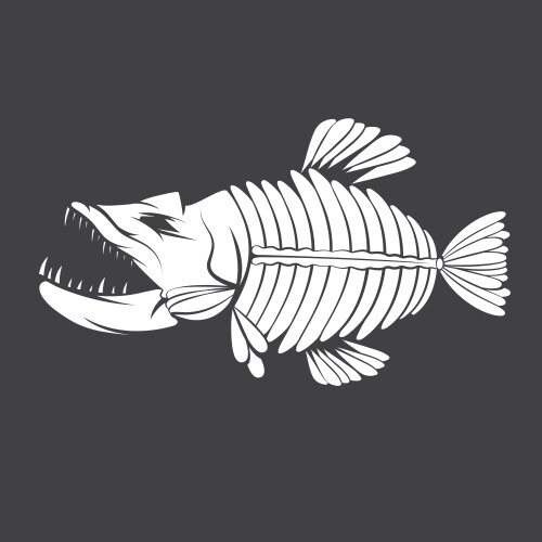 Bass Bones Vector Images (over 170)