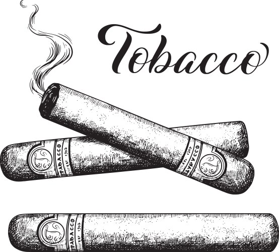 Cigar Vector Images (over 24,000)