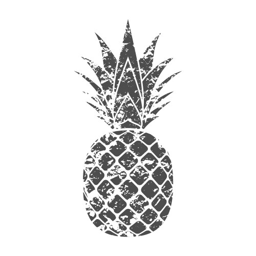 Pineapple hand drawn abstract Royalty Free Vector Image