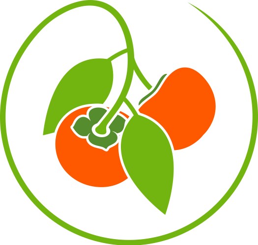 Persimmon logo Royalty Free Vector Image - VectorStock