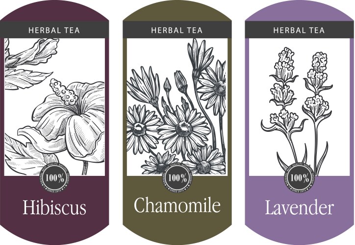 Herbal tea with mint and lemon labels emblems Vector Image