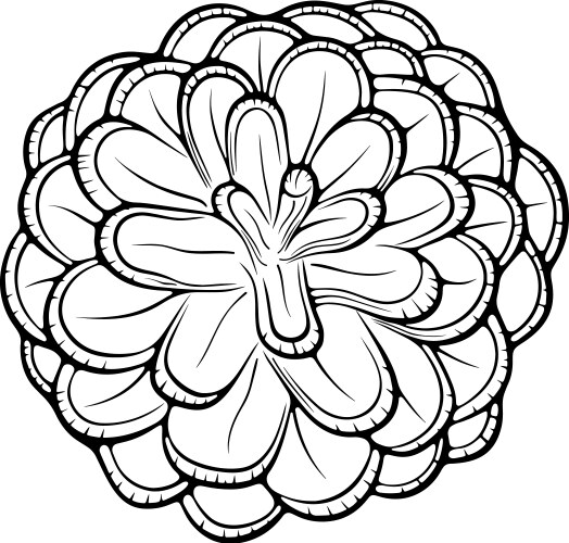 Pine Tree Top View Vector Images (over 1,800)