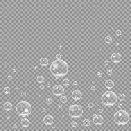 Underwater bubbles on transparent background Vector Image