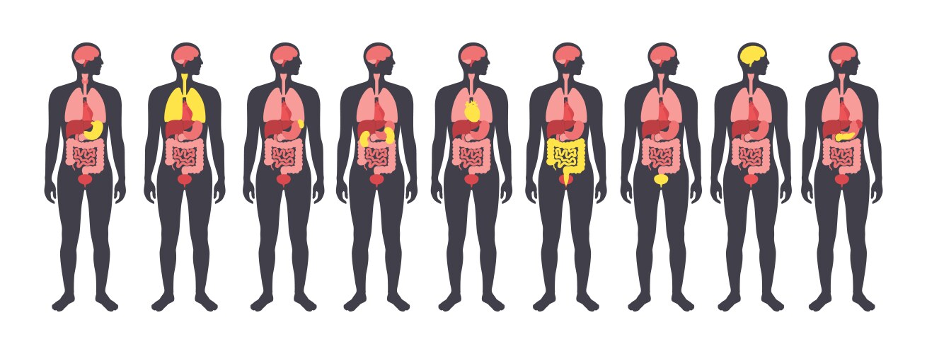 Internal Vector Images (over 550,000)