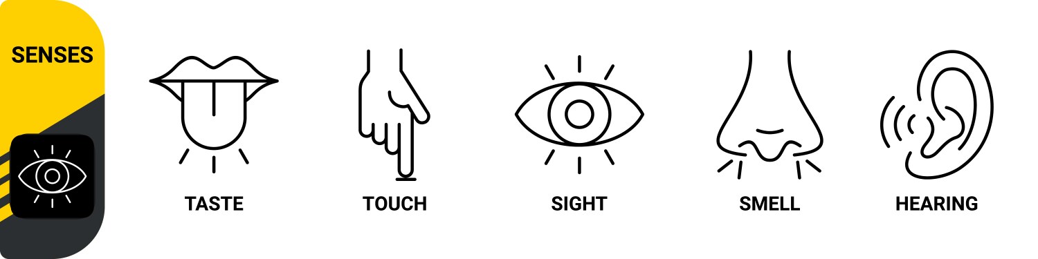 5 Senses Vector Images (over 800)