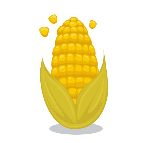Cute cartoon corn grain isolated on white Vector Image