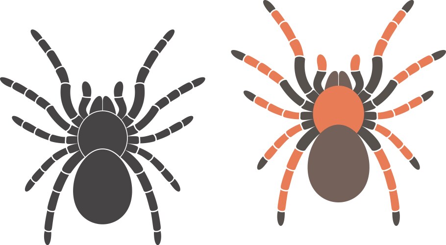 Tarantula isometric Royalty Free Vector Image - VectorStock