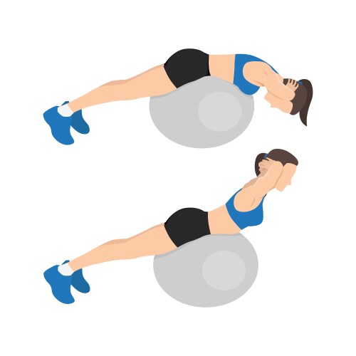 Man doing swiss ball plank to pike push up core Vector Image