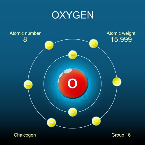 Lithium atom structure bohr model Royalty Free Vector Image
