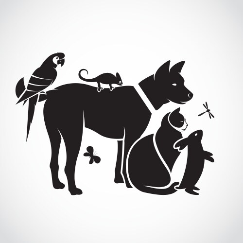 Group pets - horse dog cat humming bird parrot Vector Image