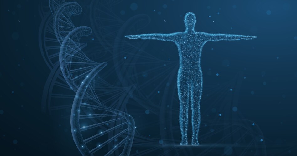 Human dna medical technology gene evolution Vector Image