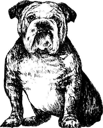 Bulldog Vector Images (over 22,000)