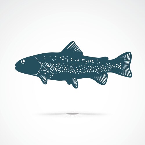 Trout Vector Images (over 12,000)