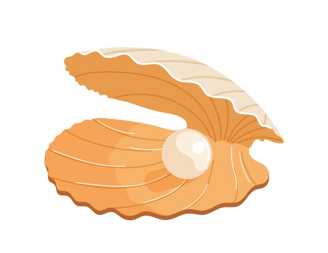 Oyster Pearl Vector Images (over 4,200)