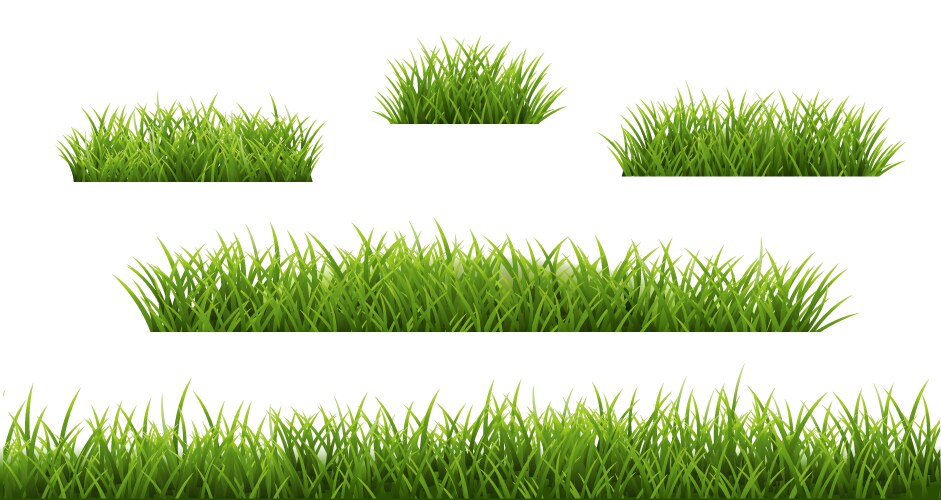 Light Green Background Vector Images (over 310,000)