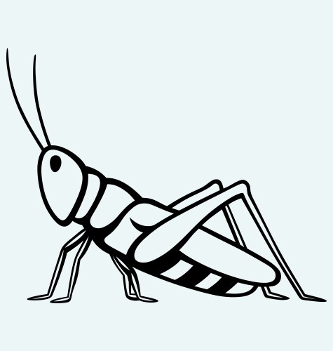 Grasshopper Vector Images (over 5,700)