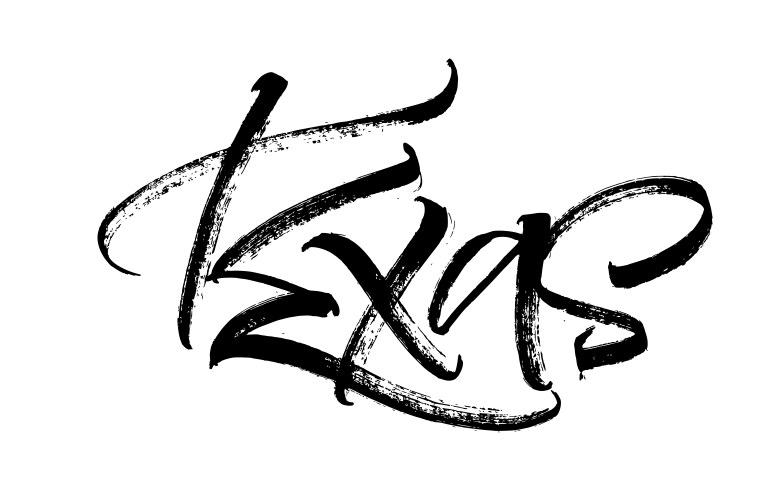 Hawaii modern calligraphy hand lettering Vector Image