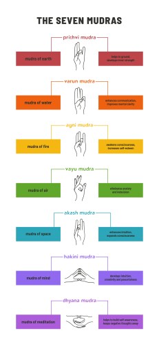 Mudras and their benefits chart infographic Vector Image