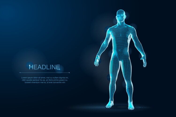 3d wireframe human body Royalty Free Vector Image