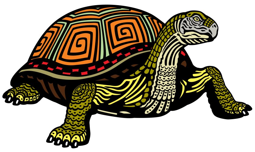 Turtle Vector Images (over 33,000)
