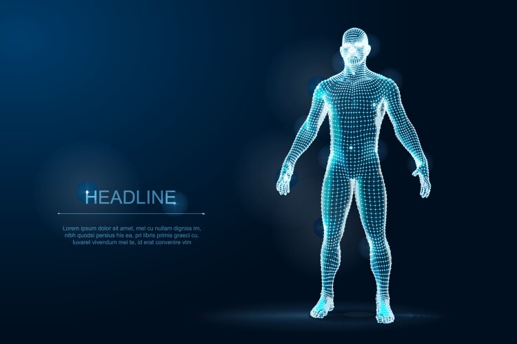 Human Body Outline Vector Images (over 47,000)