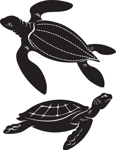 Turtle Vector Images (over 37,000)