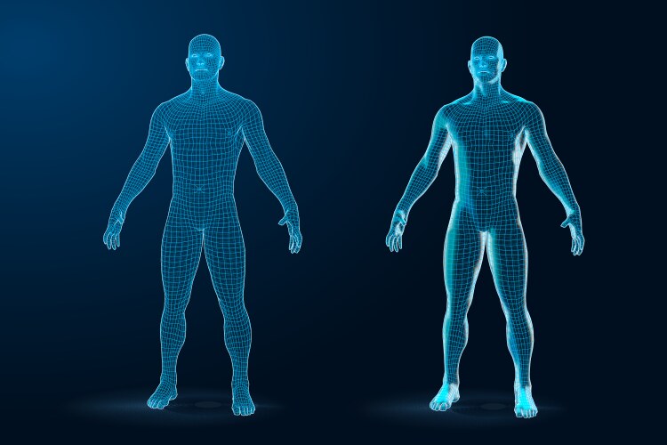 Human Body Outline Vector Images (over 44,000)