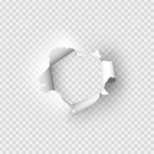 Torn ripped paper hole on transparent background Vector Image