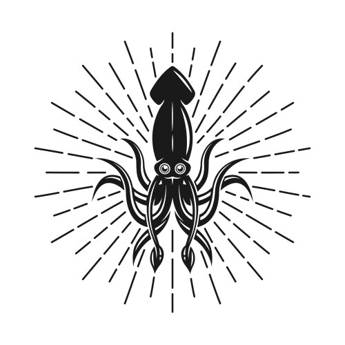 Squid Vector Images (over 17,000)