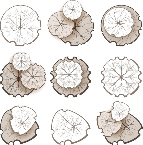Tree Plan Vector Images (over 10,000)