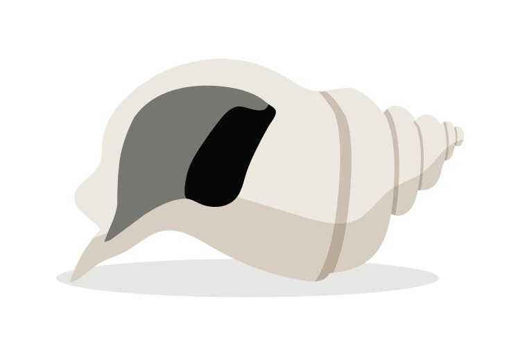 Conch Shell Cartoon Vector Images (over 1,900)