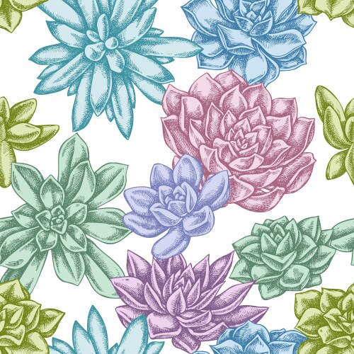 Succulent Vector Images (over 48,000)