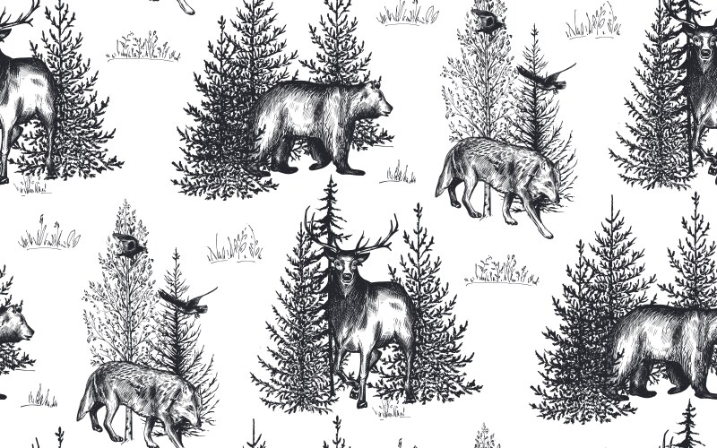 Fir forest engraving hand drawn sketch Royalty Free Vector