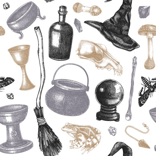 Bohemian style witchcraft background vintage Vector Image