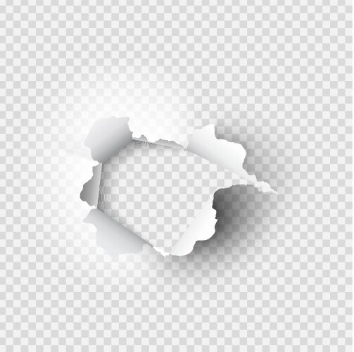 Torn hole in sheet gray paper on transparent Vector Image