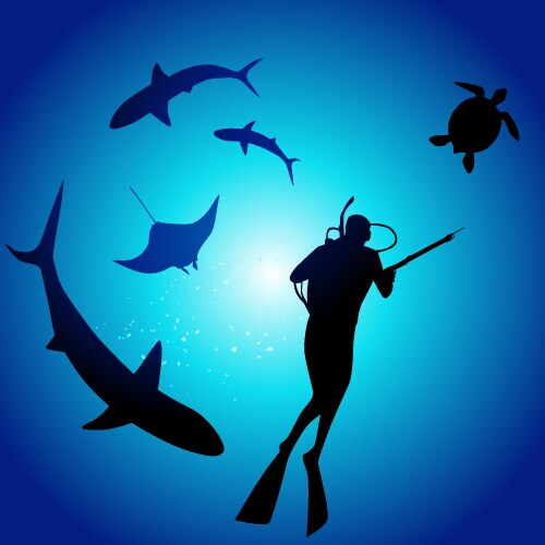 Realistic shark Royalty Free Vector Image - VectorStock