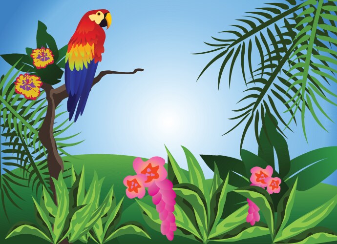 Parrot Vector Images (over 35,000)
