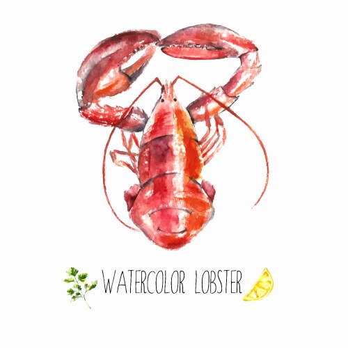 Lobster ink sketch on old paper Royalty Free Vector Image