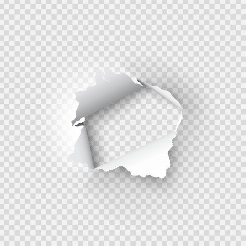 Torn ripped paper hole on transparent background Vector Image