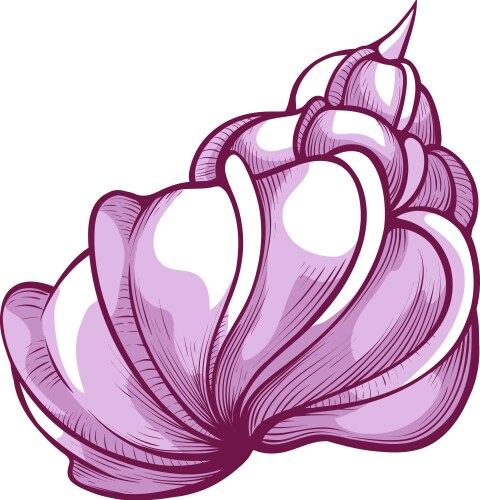 Seashell Vector Images (over 35,000)