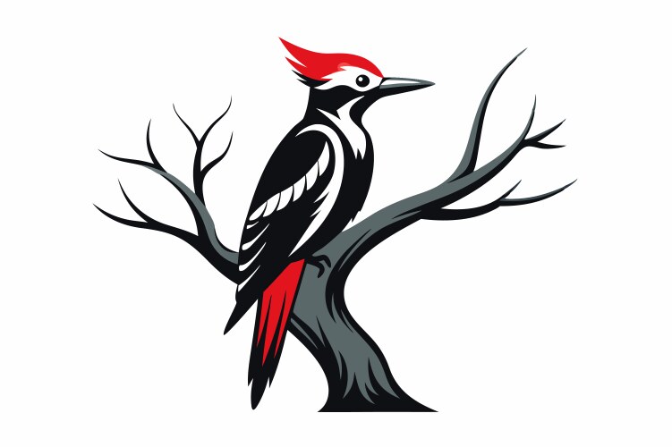 Woodpecker bird on the tree logo c Royalty Free Vector Image
