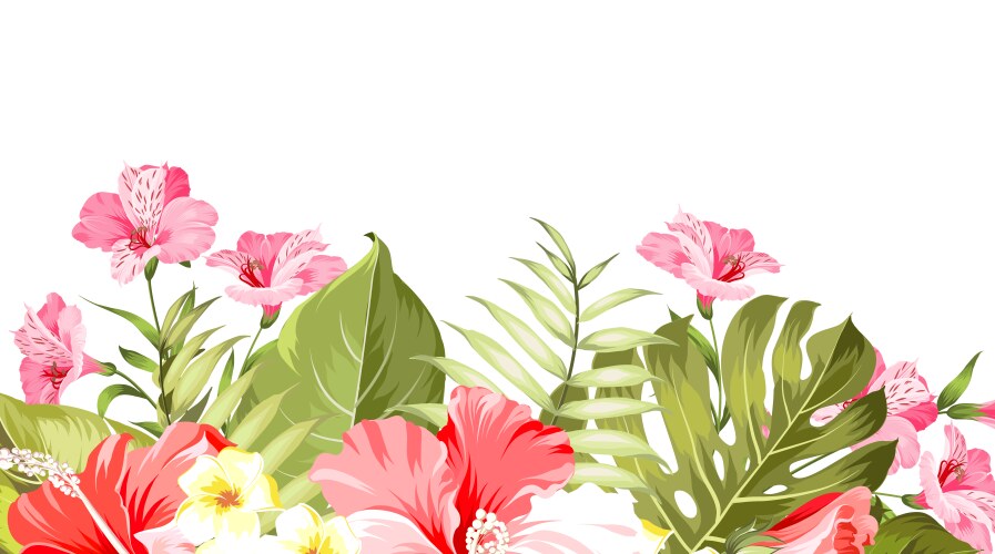 Tropical flower garland Royalty Free Vector Image