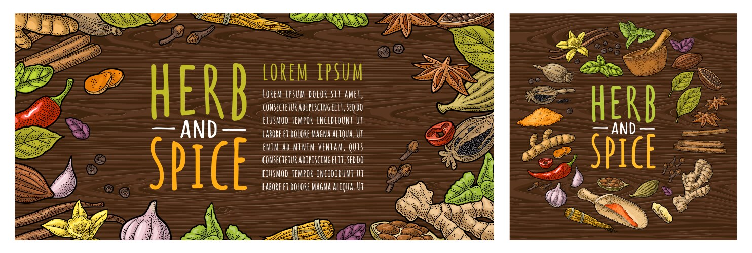 Circle shape set with herb and spice Royalty Free Vector