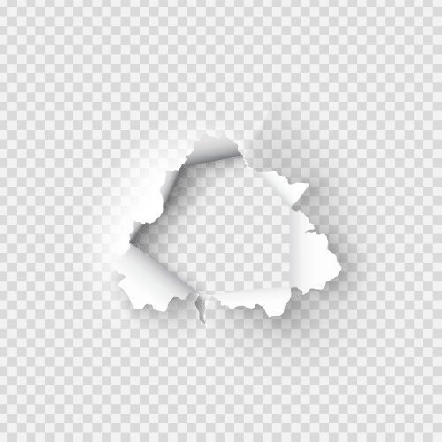 Torn ripped paper hole on transparent background Vector Image