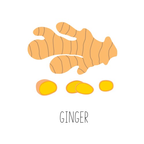 Ginger Vector Images (over 32,000)